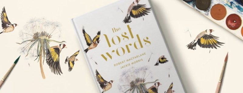 Discovering Lost Words in Thorncombe Woods | Fine Times Recorder