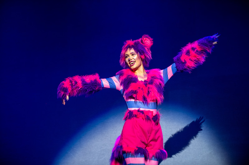 ALEX in Wonderland, Strode Theatre, Street | Fine Times Recorder