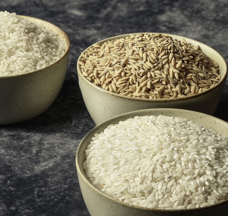 European rice – ancient heritage, modern agriculture | Fine Times Recorder