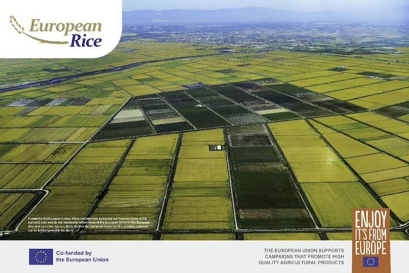 European rice – ancient heritage, modern agriculture | Fine Times Recorder