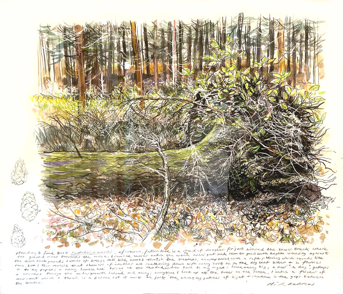 Sale at Nick Andrew’s studio | Fine Times Recorder